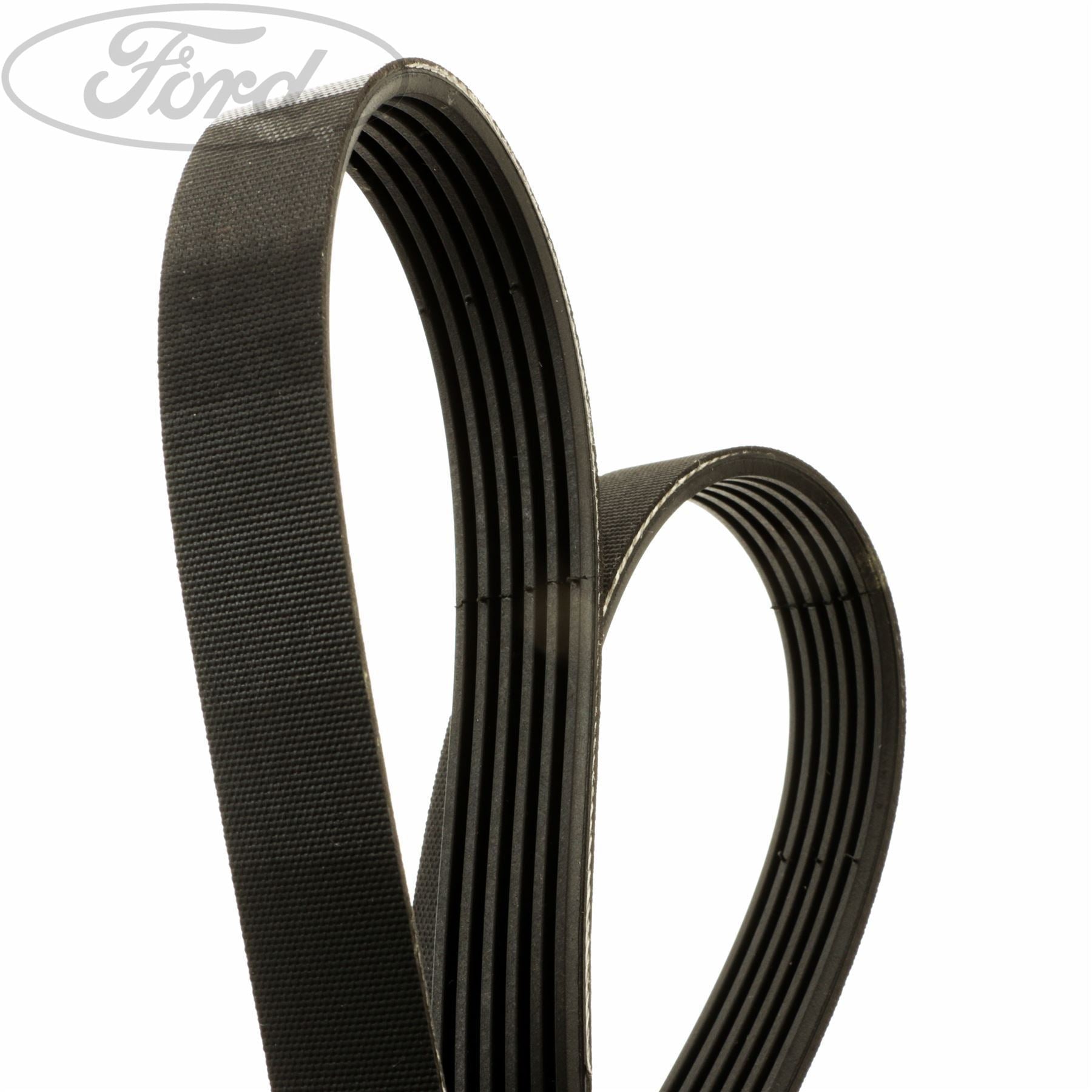 FOCUS FOCUS C-MAX MPV DRIVE V BELT – Ford Online Shop UK
