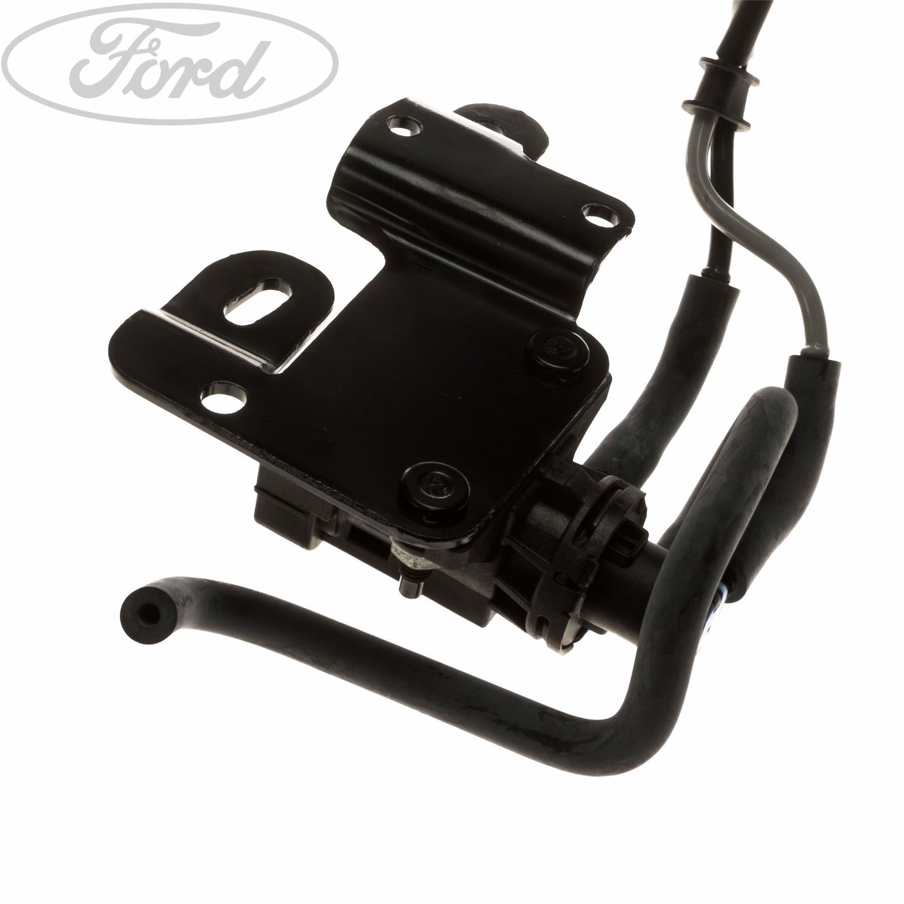 VACUUM PUMP HOSE – Ford Online Shop UK