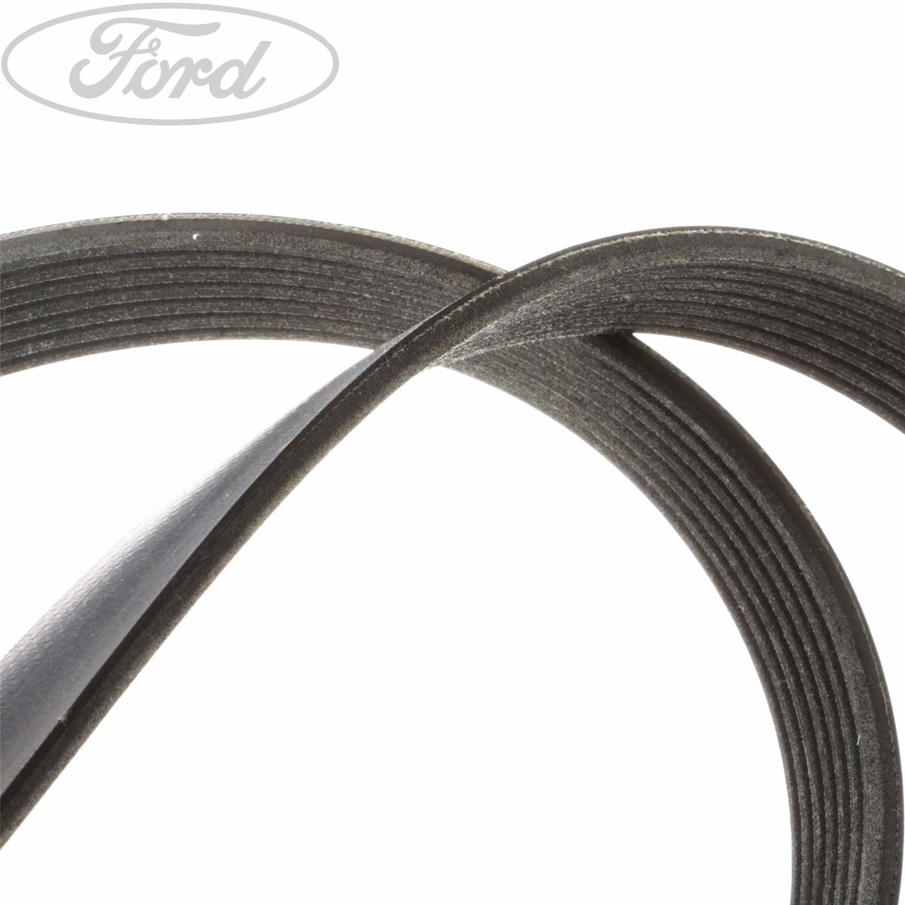 TRANSIT MOTORCRAFT DRIVE V BELT – Ford Online Shop UK